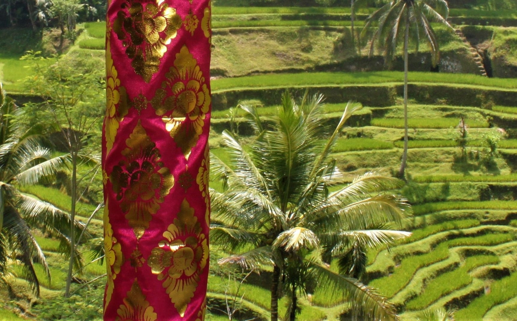 Prada Bali Tissu balinais Feuille d'or Mes Indes Galantes PARIS